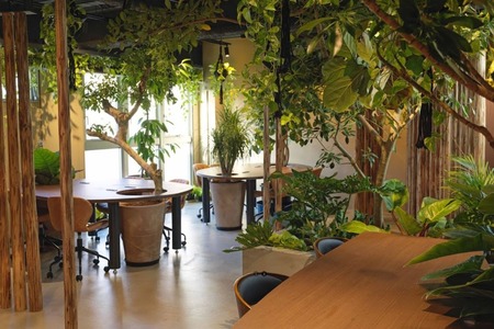 10 Best coworking spaces in Kyoto, Japan | Surf Office