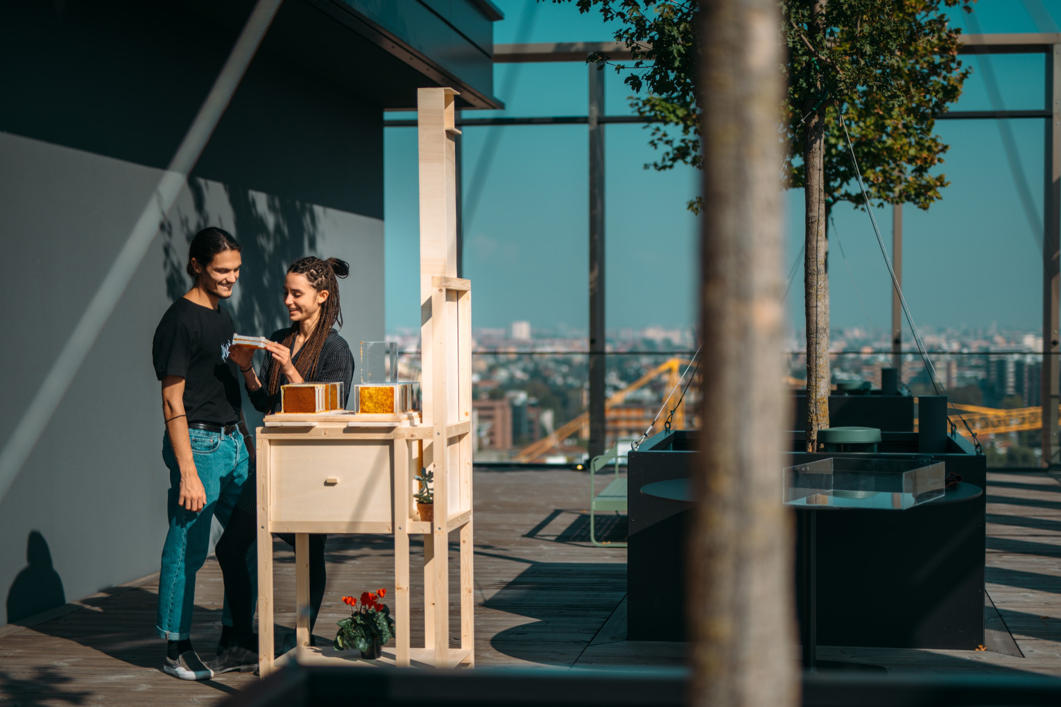 Which animals can teach us about teamwork? | Surf Office