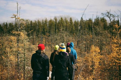 40 Best team building activities for large work groups | Surf Office