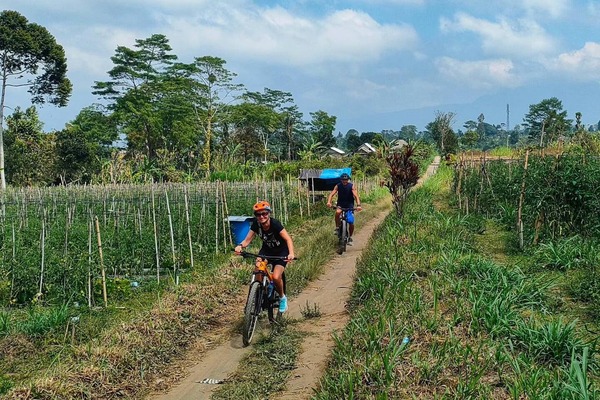 10 Best coworking spaces in Bali, Indonesia | Surf Office