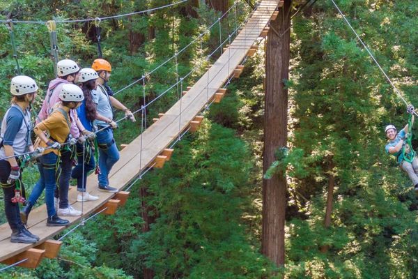 Tree Top Adventure in Santa Cruz | Surf Office