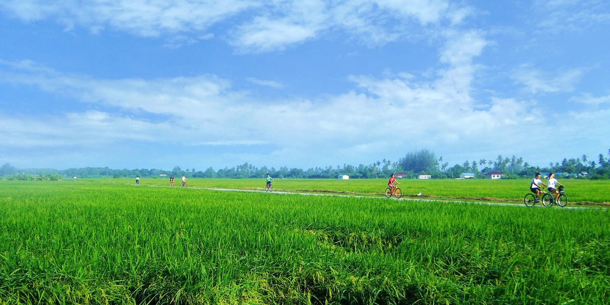 10 Best group team building activities in Penang | Surf Office