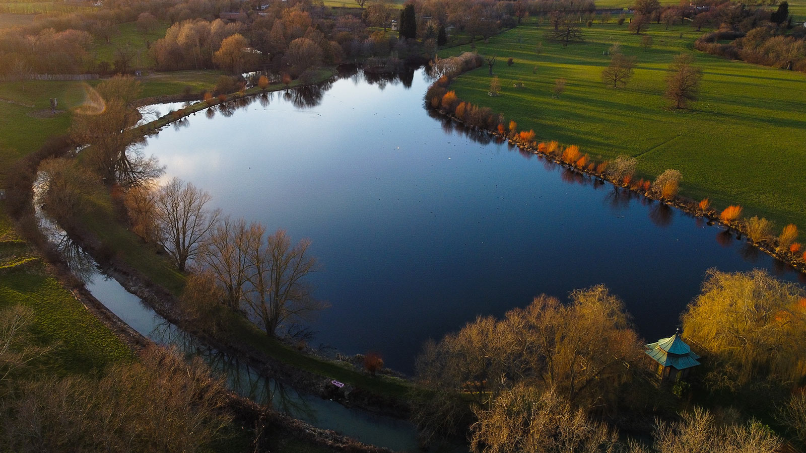 THE ELM | ABBOTS RIPTON