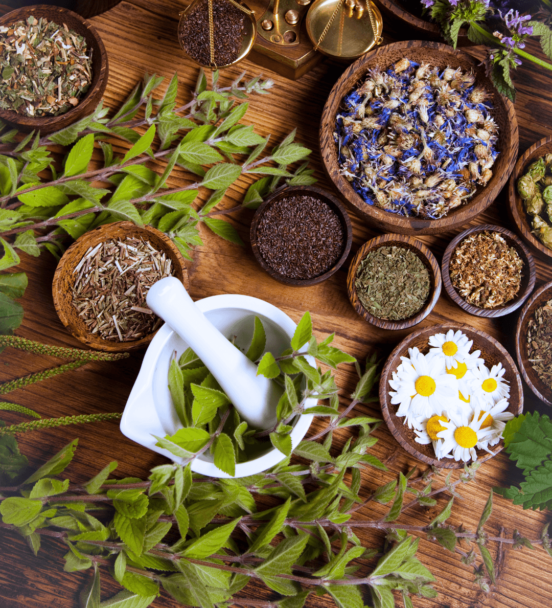 Medicinal Plants of Assam & the Tribes Behind Traditional Healthcare