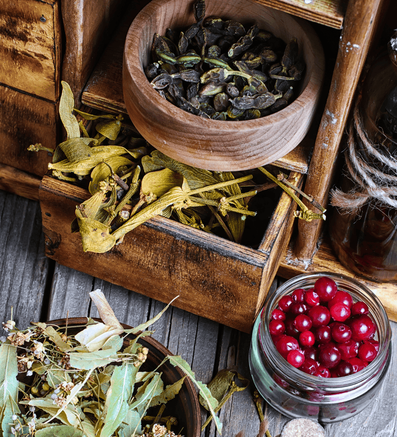 Medicinal Plants of Assam & the Tribes Behind Traditional Healthcare