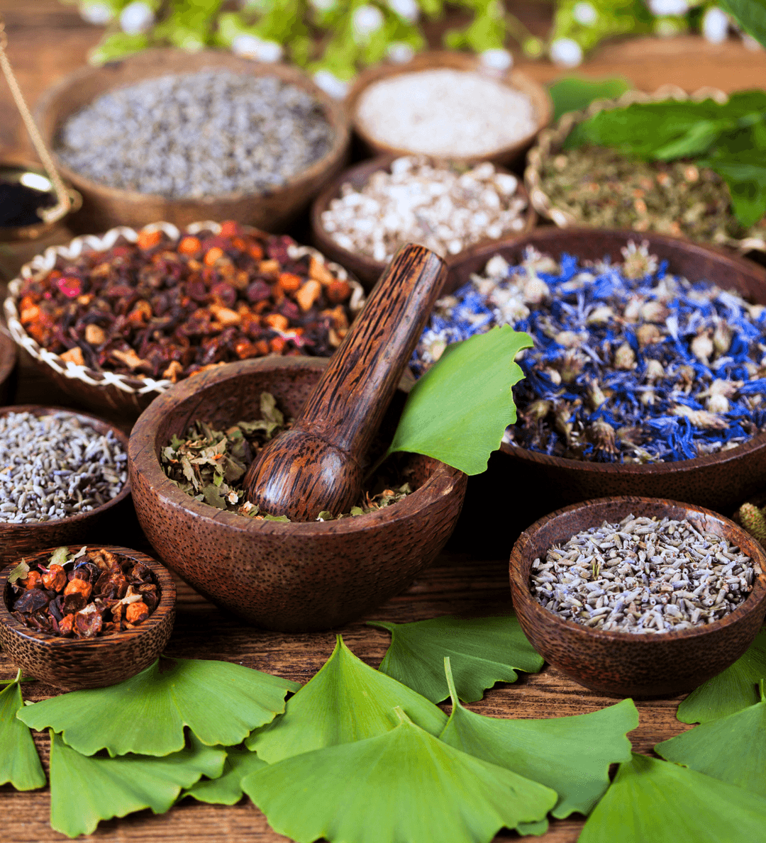 Medicinal Plants of Assam & the Tribes Behind Traditional Healthcare