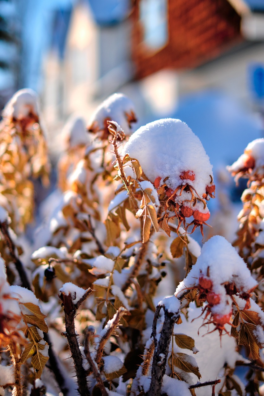 Monarch Landscape Companies Blog