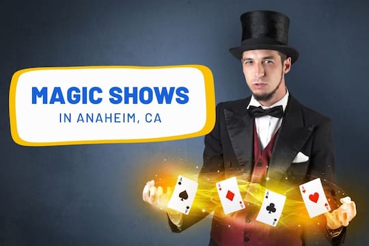 Magician Show
