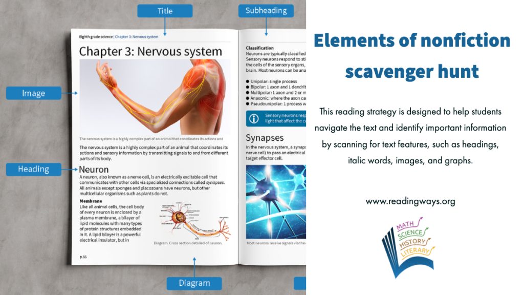Elements of Nonfiction Scavenger Hunt
