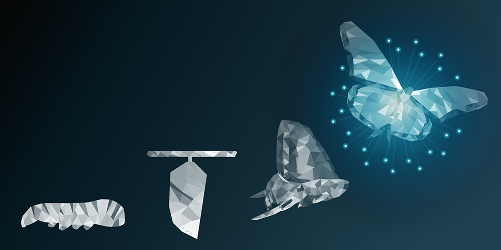 Next Level Digital Transformation in Cross-Border E-Commerce