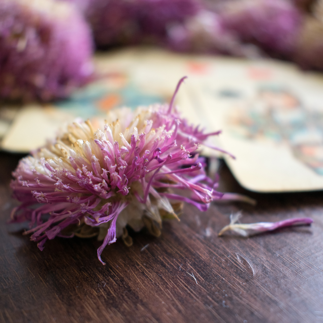 Jessica Paschke — Intuitive Guide | Medium