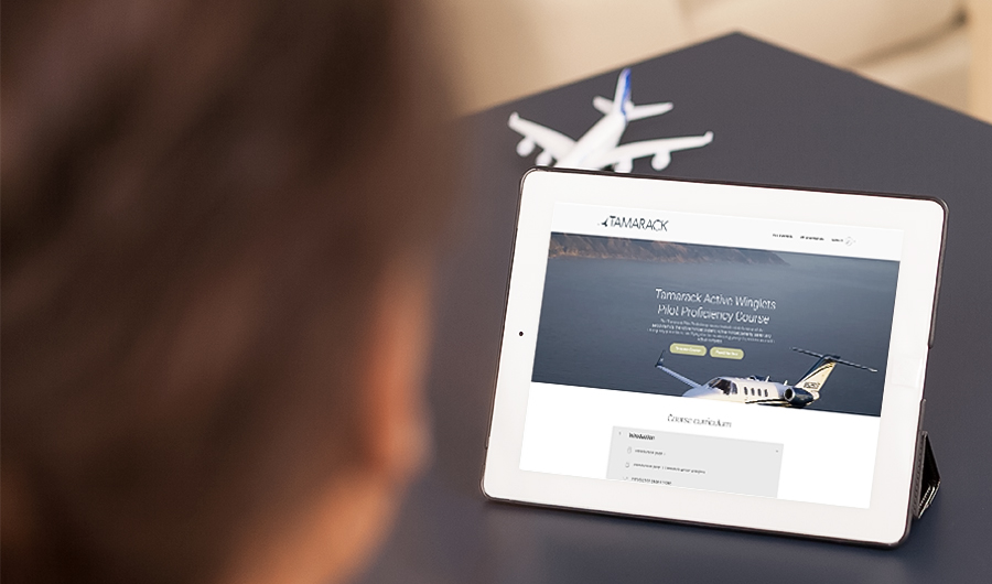 FAA WINGS Pilot Proficiency Program