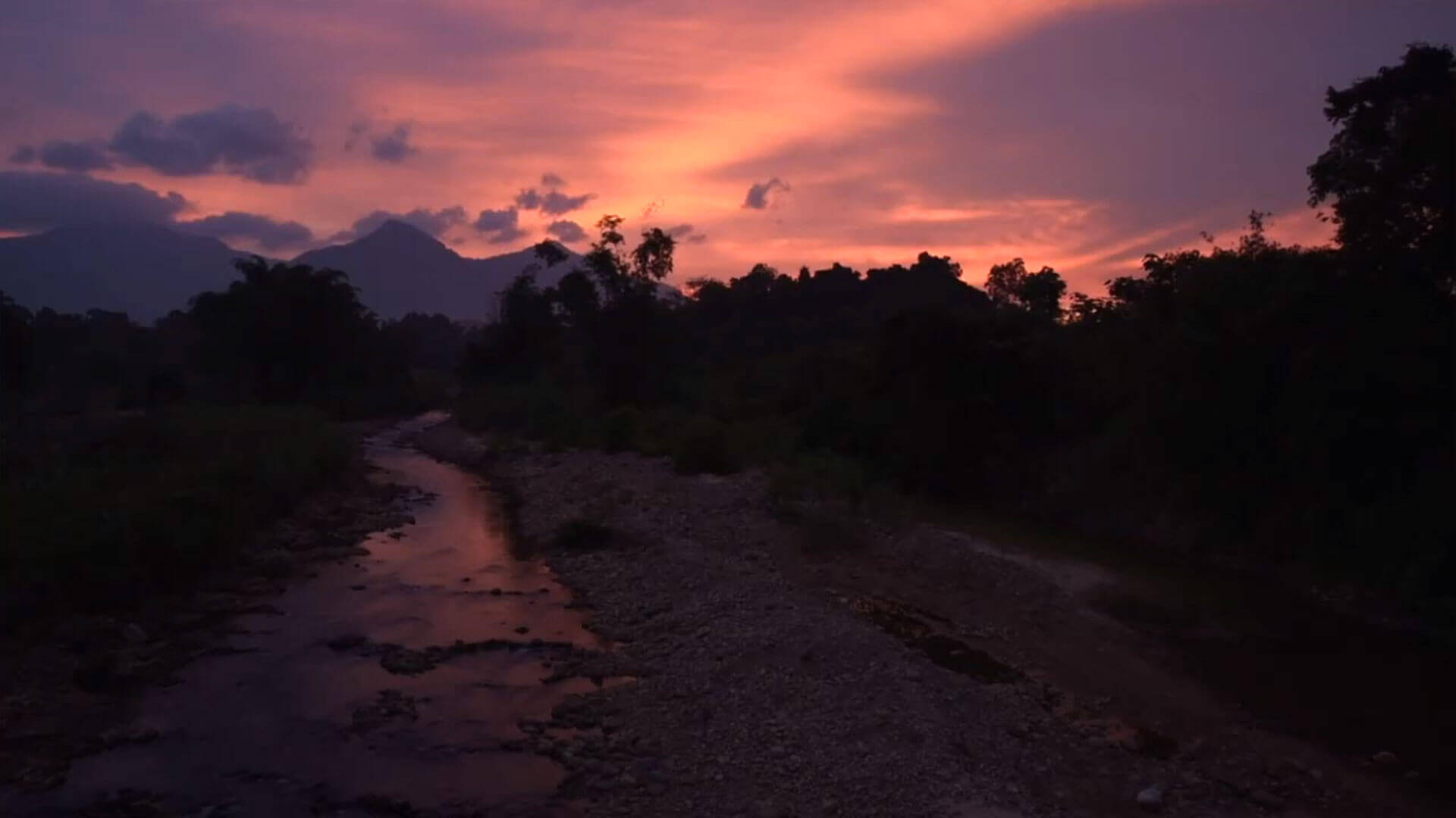 Cinema Verde | Events