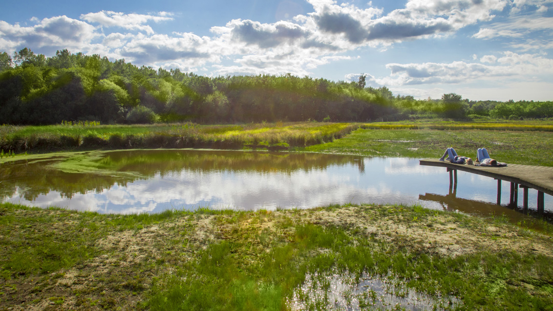 Bulskampveld wandelroute | Doen | Visit Beernem