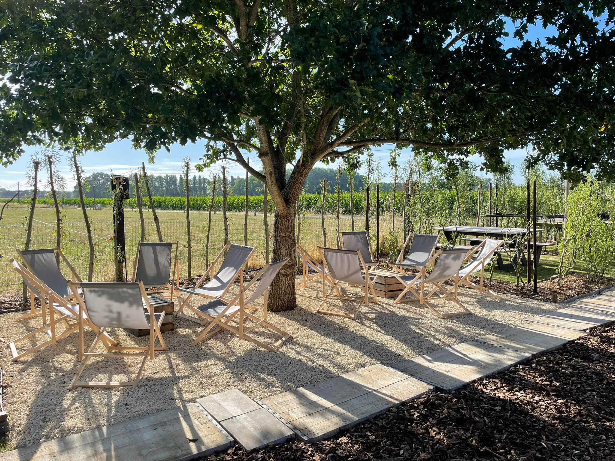 Quboo Bar | Eten & drinken | Visit Beernem