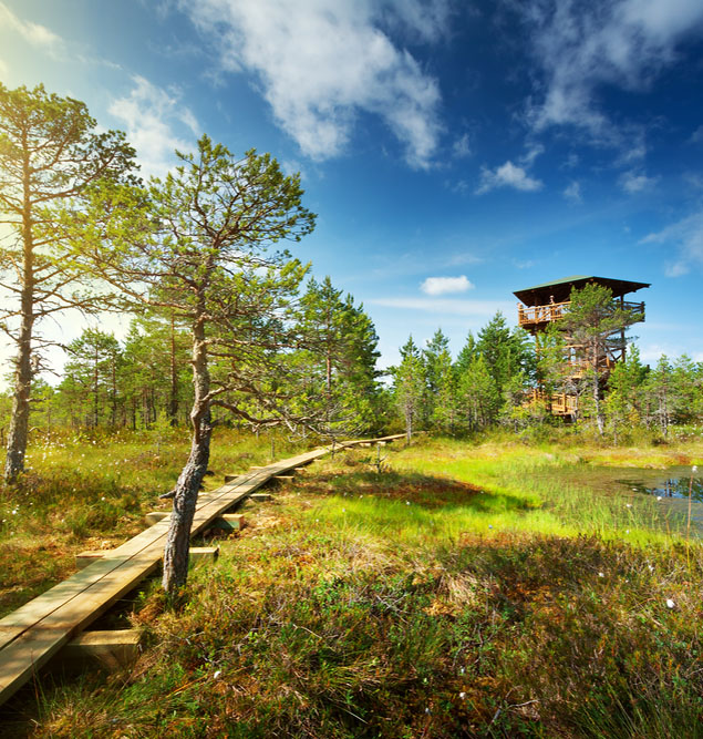 Zelta rudens kaimiņos – ko apskatīt Igaunijā un Lietuvā?