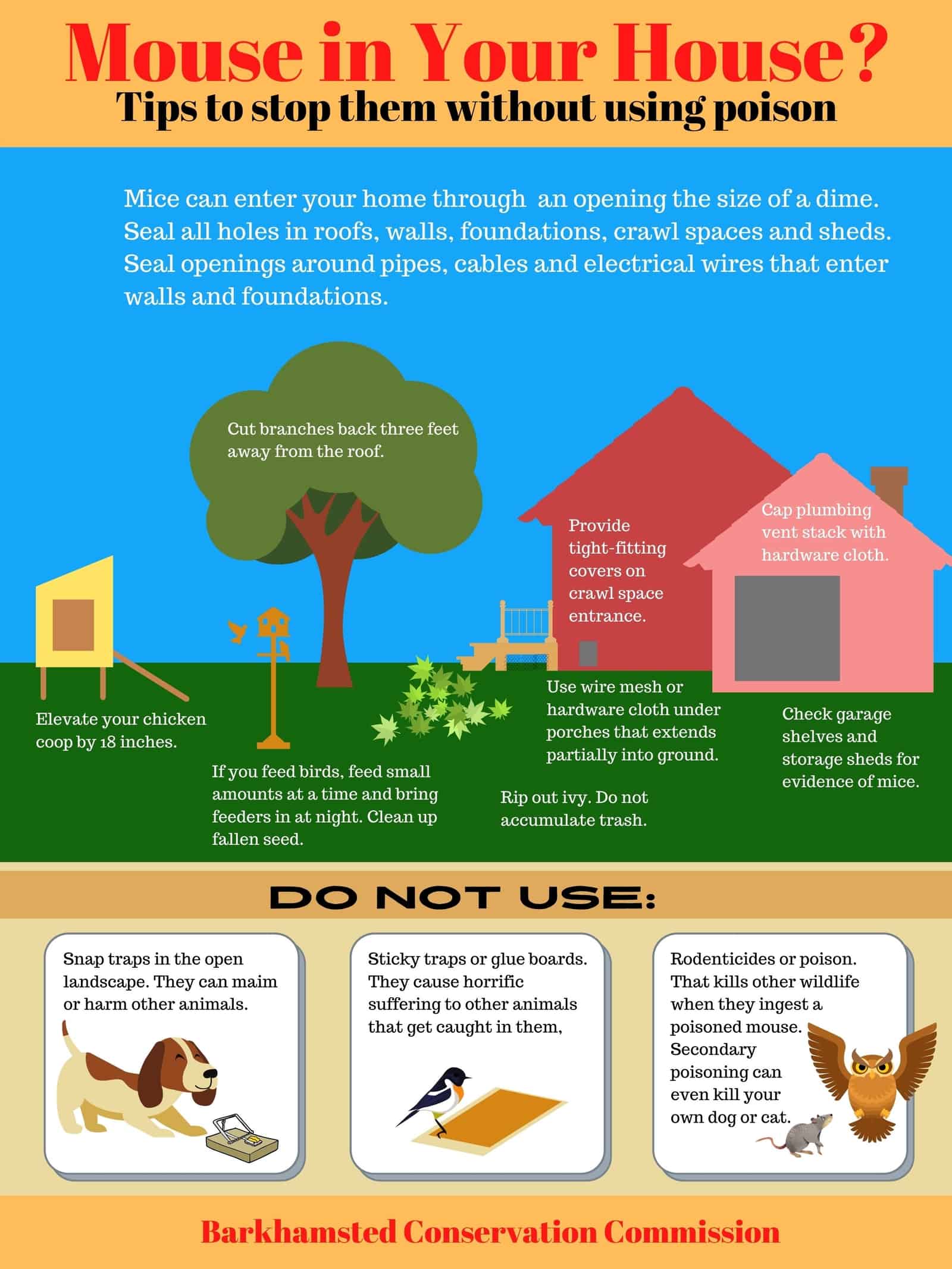 Article: Tips to Prevent Mice from Entering Your Home