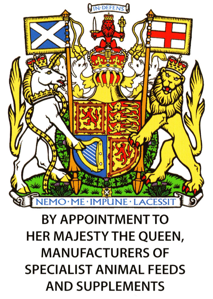 Home | Norvite Specialists in Animal Nutrition