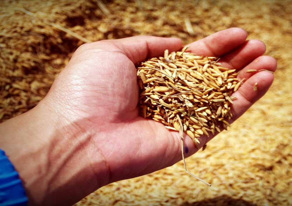 Products | Norvite Specialists in Animal Nutrition