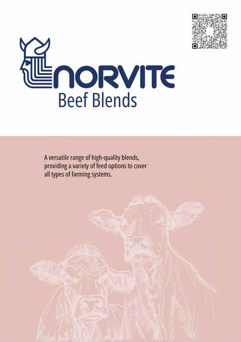 Ruminant | Norvite Specialists in Animal Nutrition