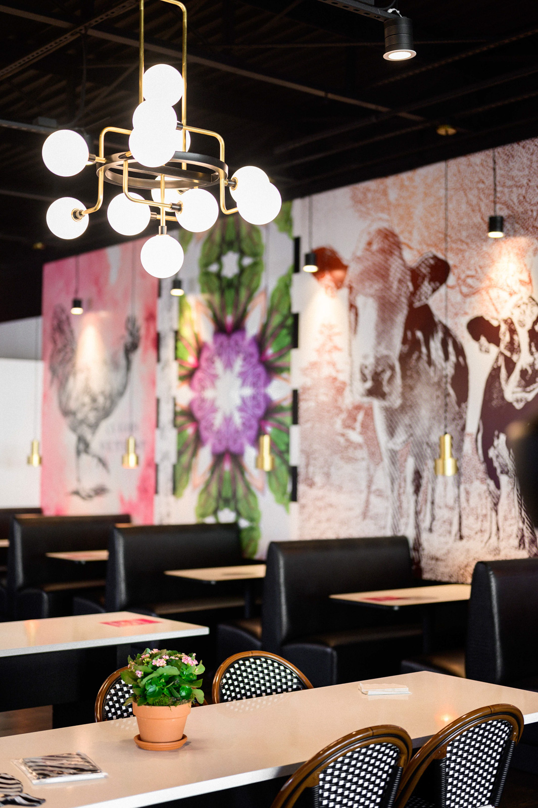 The Loop | Harbinger Sign