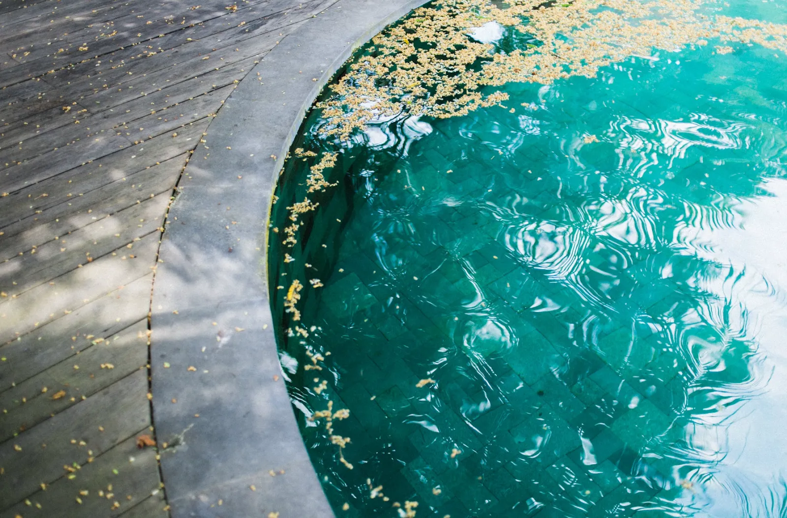 What Is a Pool Skimmer and How Does It Work