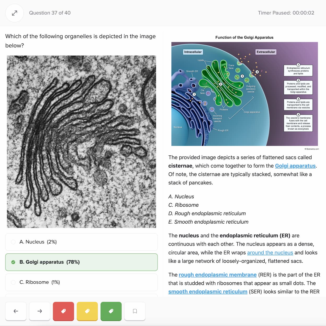 DAT Bootcamp | The #1 Study Tool to Ace the DAT