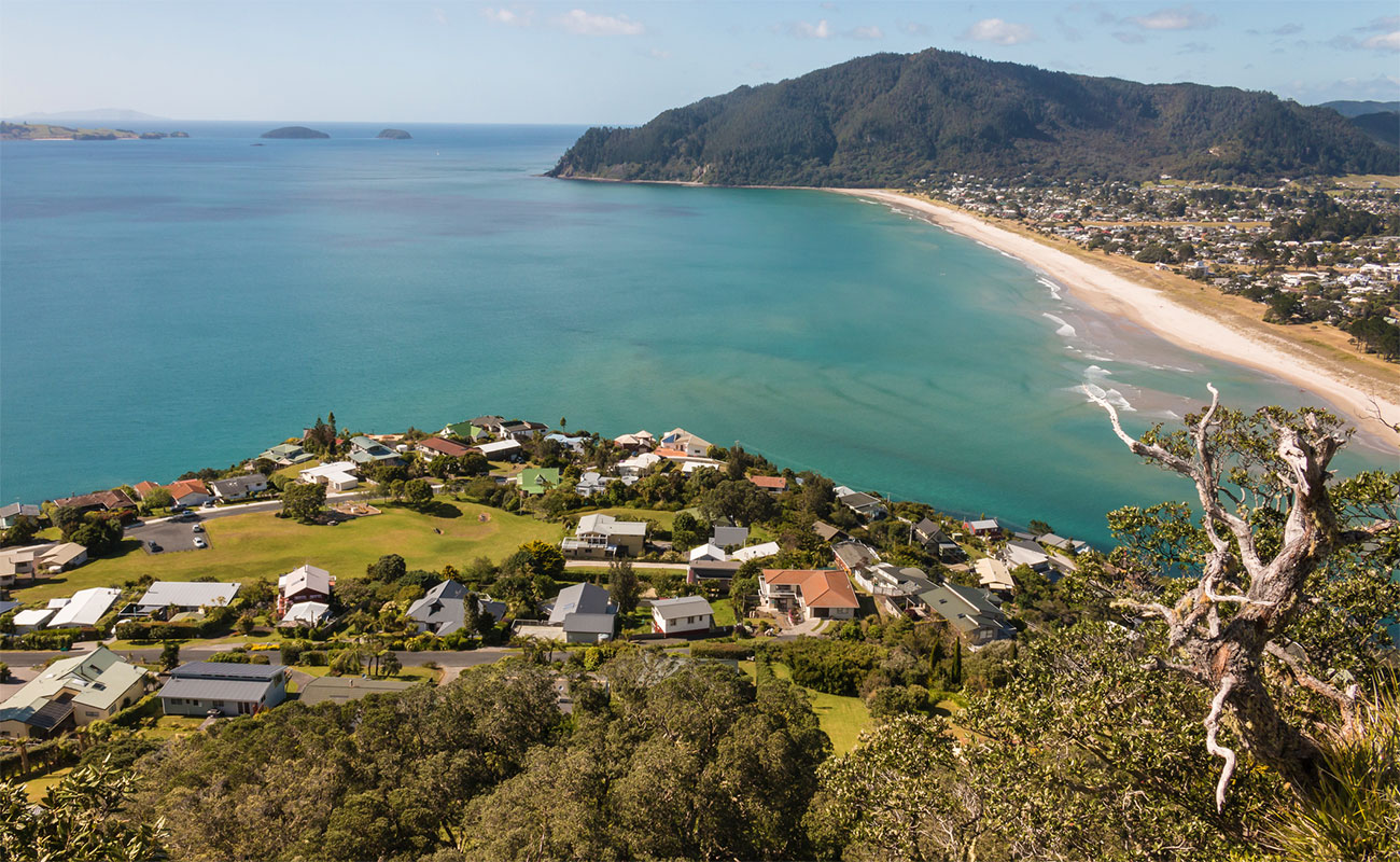 Living and Renovating in Waikato | Inspiration & Advice