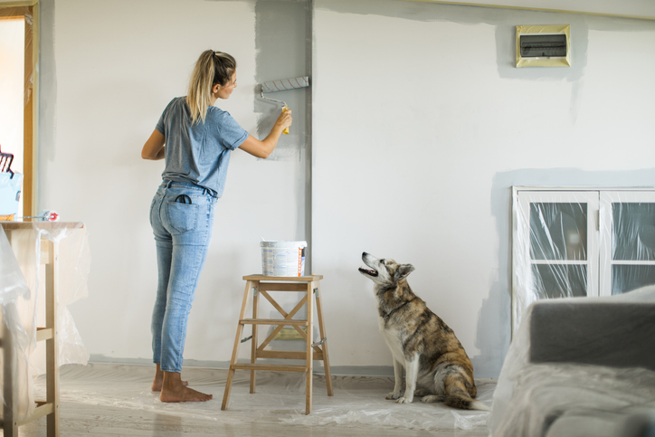 A beginner's guide to painting your home | Inspiration & Advice
