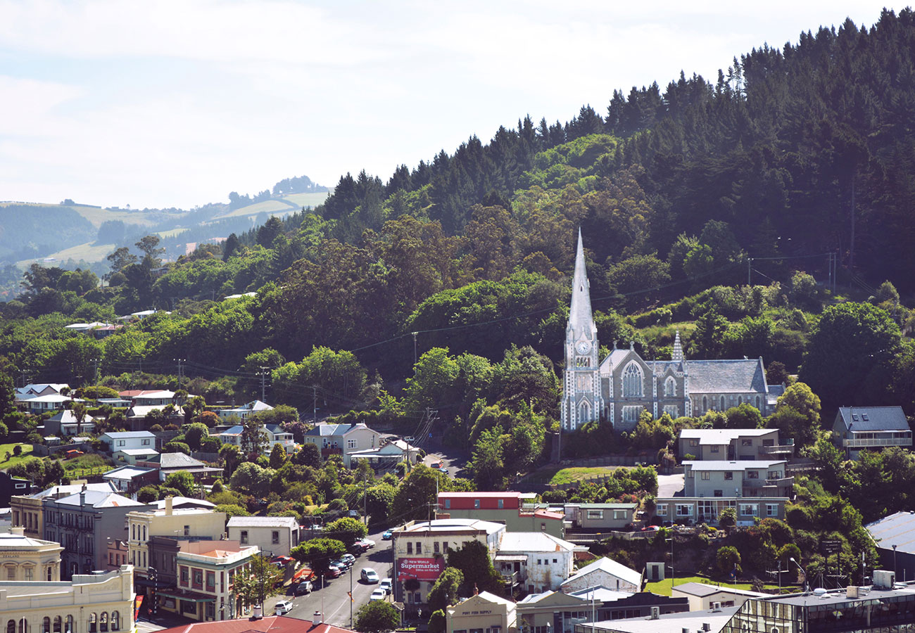 Living and Renovating in Dunedin | Inspiration & Advice