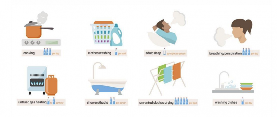 DVS the art of letting your home breathe: ways to reduce condensation ...