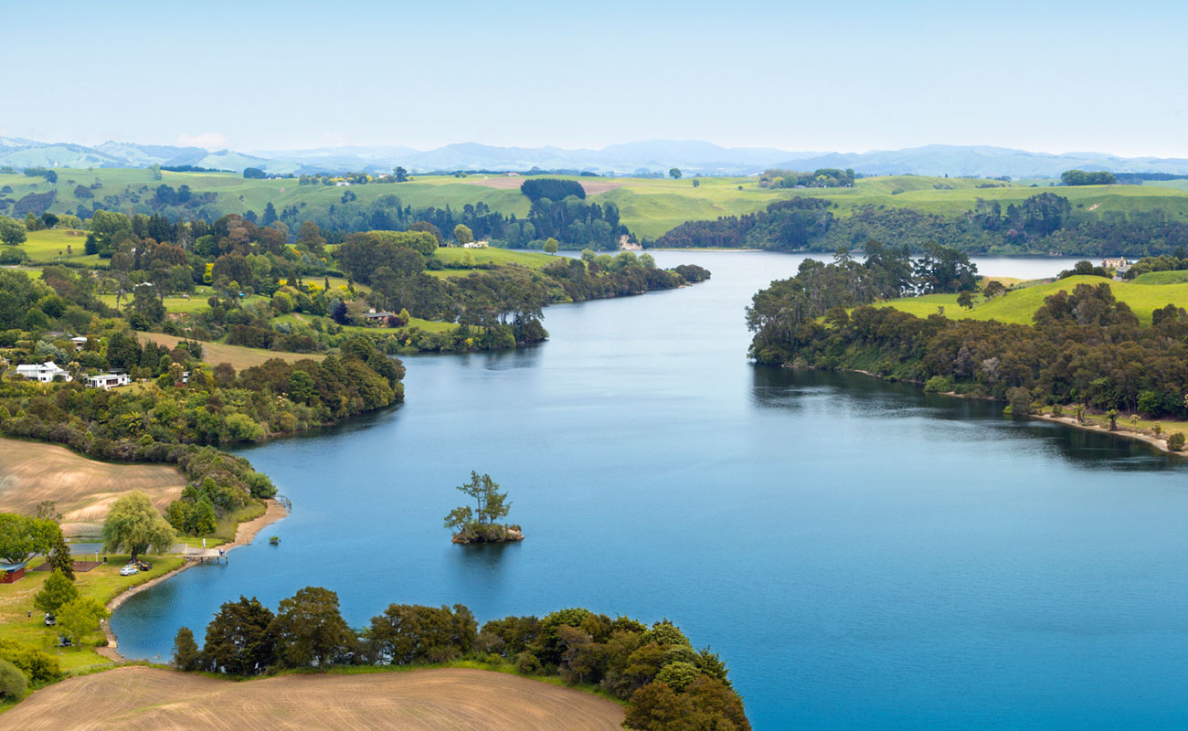 Living and Renovating in Hamilton | Inspiration & Advice