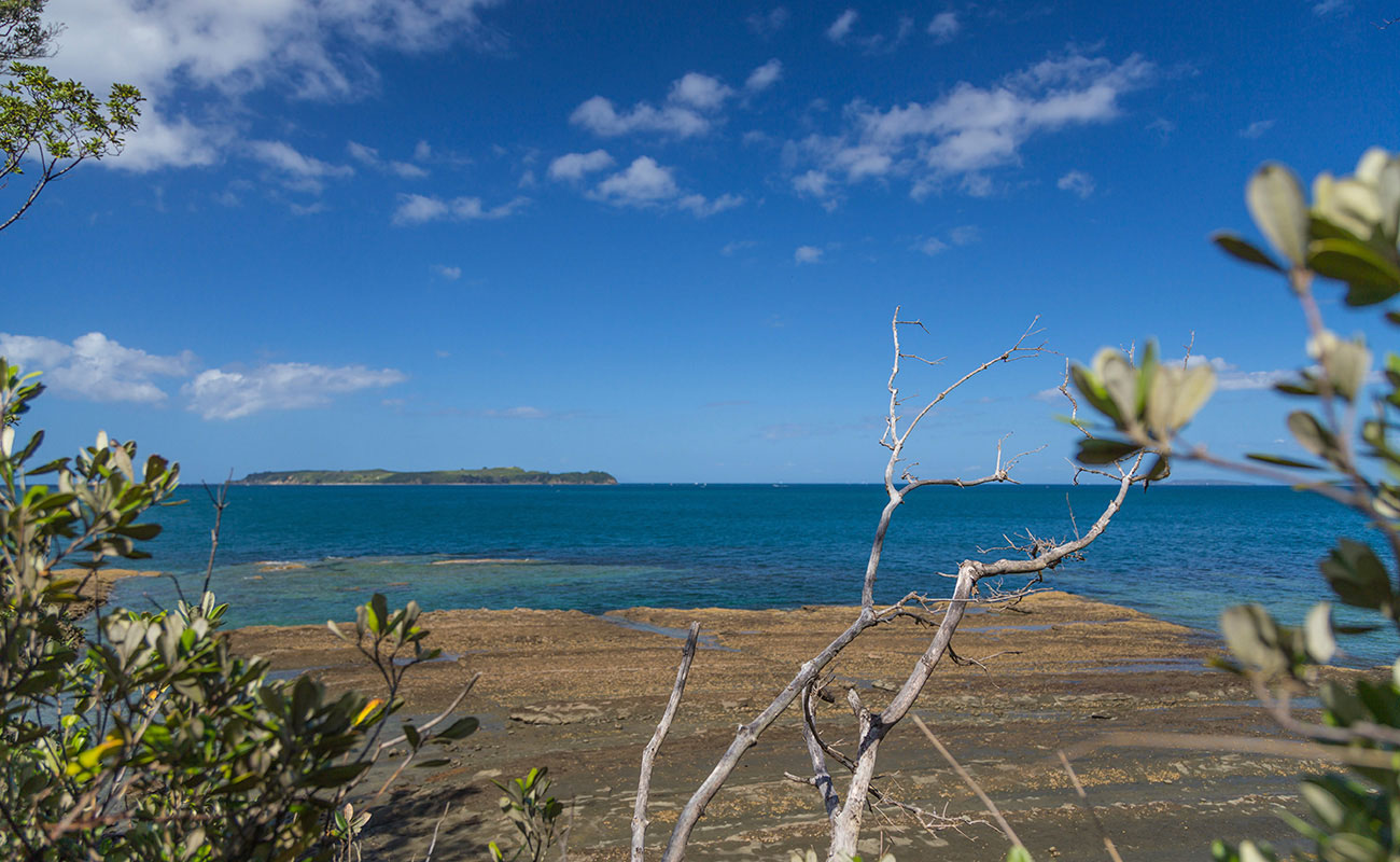 Living and Renovating in Rodney | Inspiration & Advice