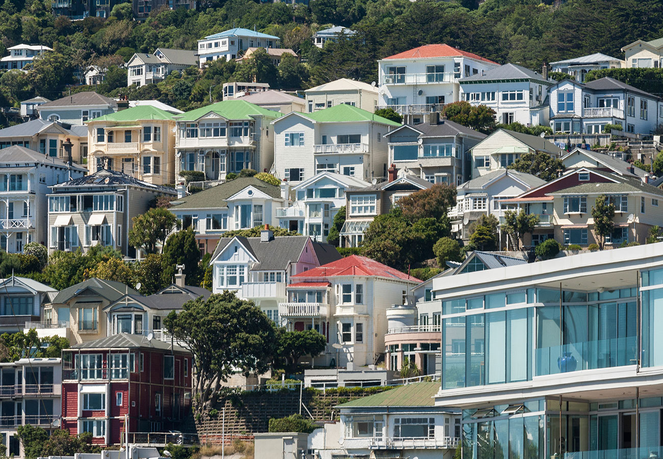 Living and Renovating in Wellington | Inspiration & Advice