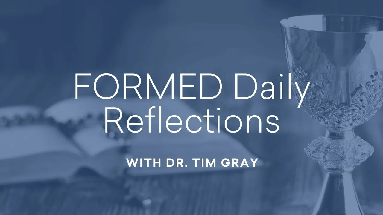 Download the Amen App | Catholic Resources | Augustine Institute