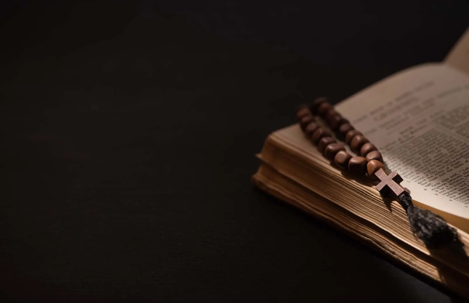 Lectio Bible Studies | Catholic Resources | Augustine Institute