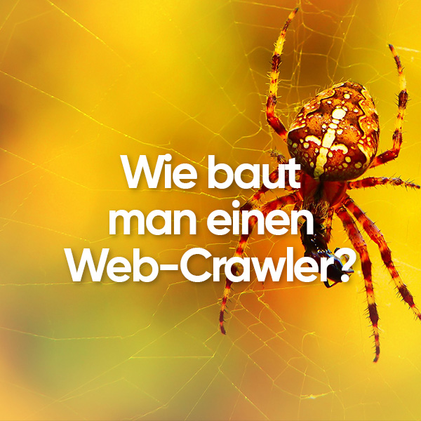Wie baut man zeitsparend einen Web-Crawler?