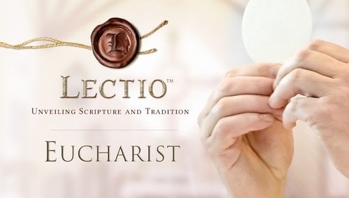 Lectio Bible Studies | Catholic Resources | Augustine Institute