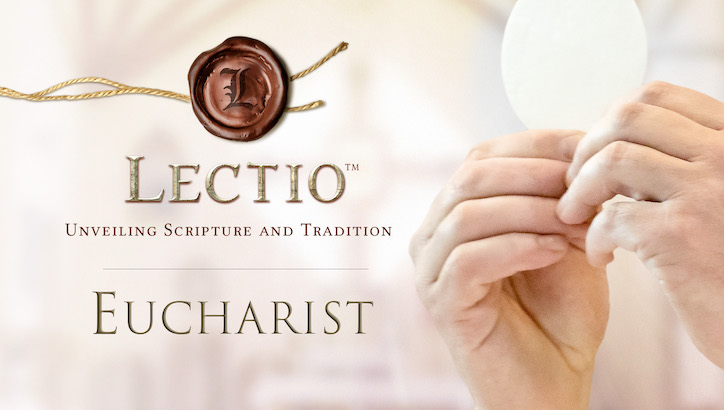 Lectio Bible Studies | Catholic Resources | Augustine Institute