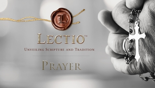 Lectio Bible Studies | Catholic Resources | Augustine Institute