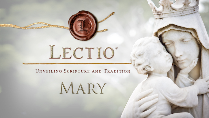 Lectio Bible Studies | Catholic Resources | Augustine Institute