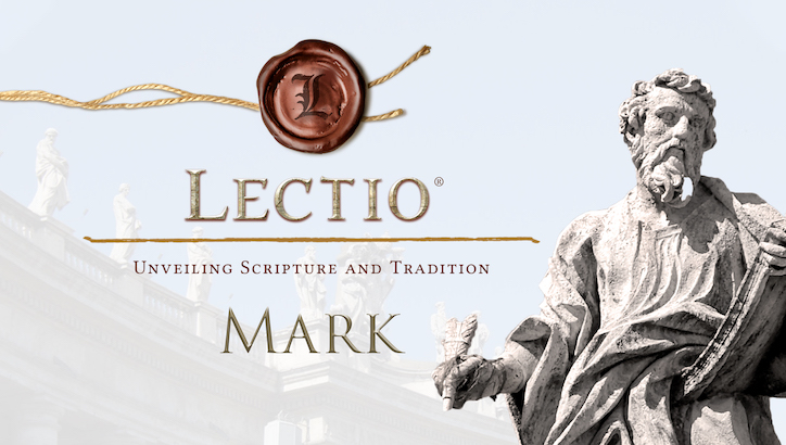 Lectio Bible Studies | Catholic Resources | Augustine Institute