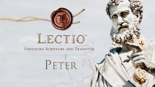 Lectio Bible Studies | Catholic Resources | Augustine Institute