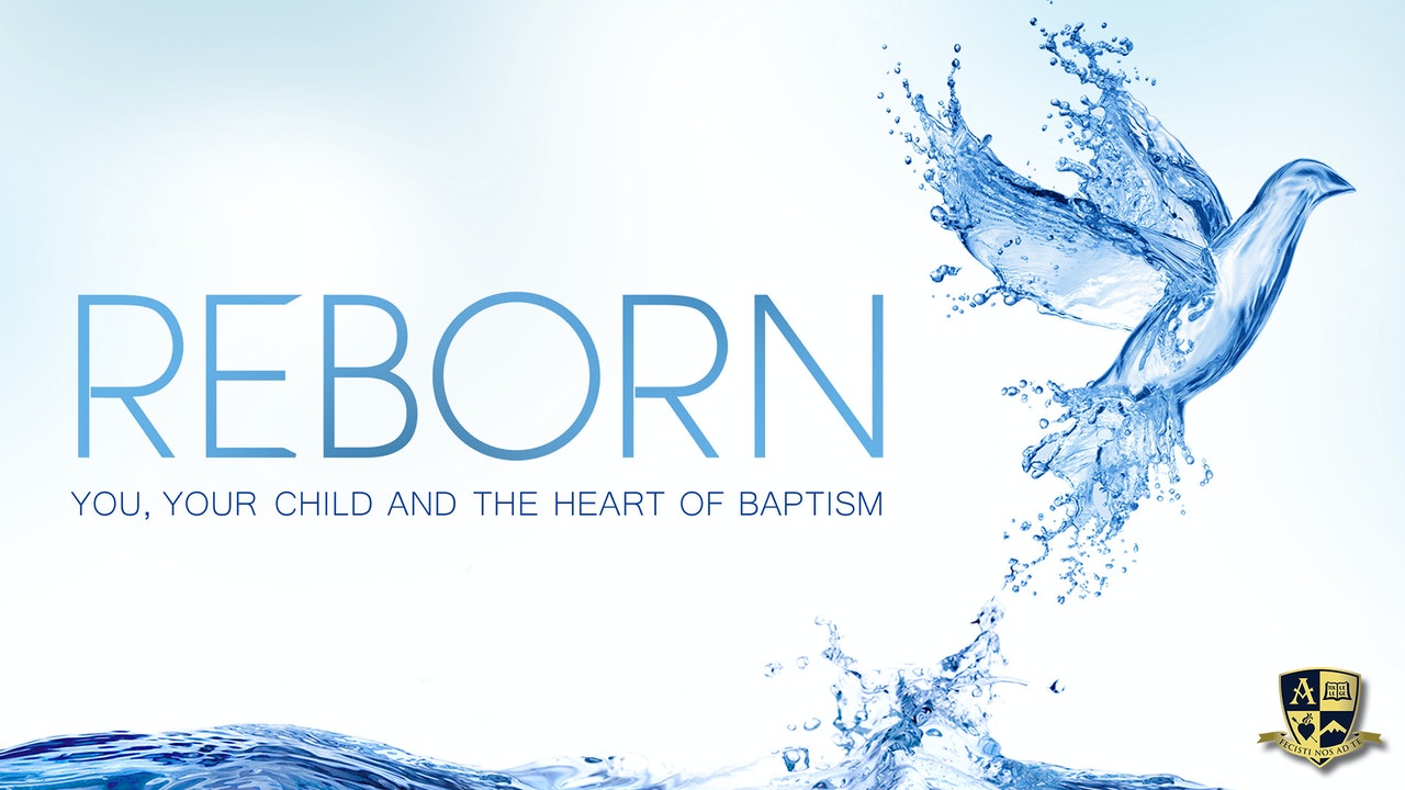 Baptism: Reborn | Augustine Institute