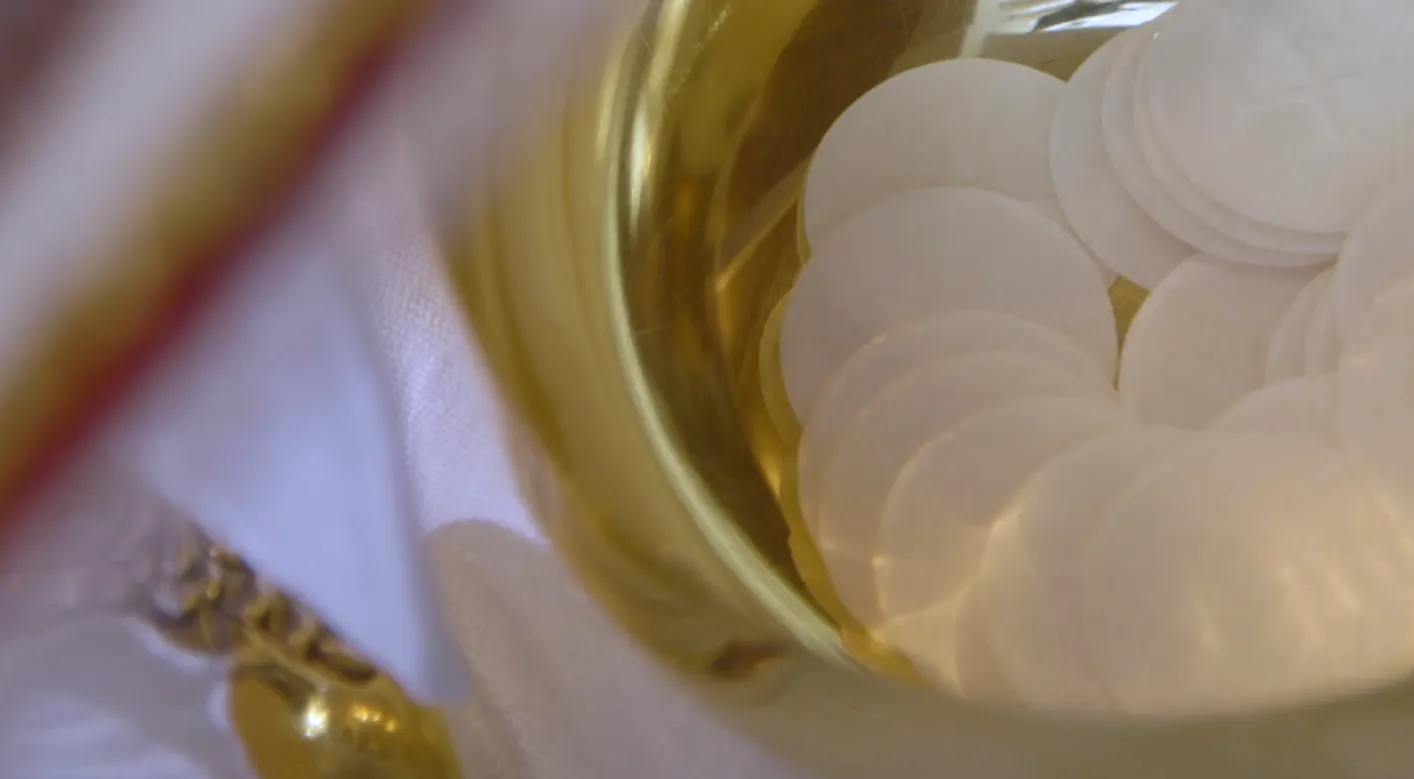 Understanding The Catholic Eucharist | Augustine Institute
