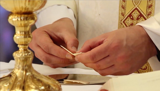 Catholic Bible Study | Lectio | Augustine Institute