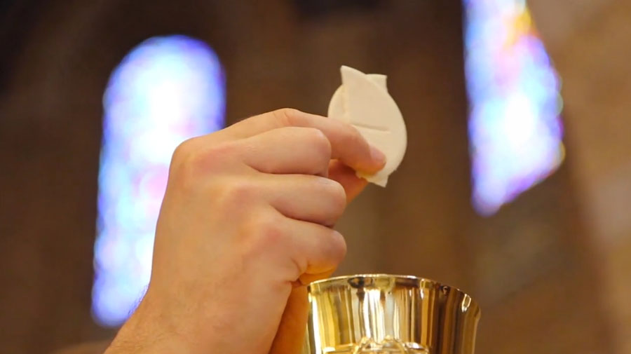 Catholic Bible Study | Lectio | Augustine Institute