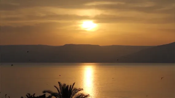 Catholic Bible Study | Lectio | Augustine Institute