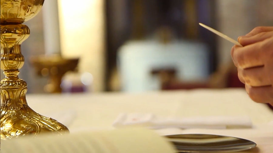 Catholic Bible Study | Lectio | Augustine Institute