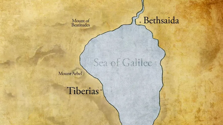 Catholic Bible Study | Lectio | Augustine Institute